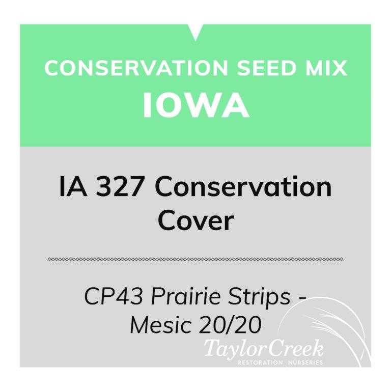 Conservation Mixes Archives - Taylor Creek Restoration Nurseries