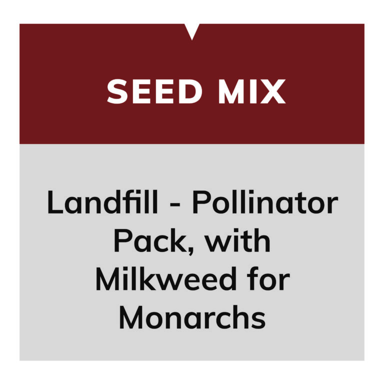 Landfill - Pollinator Pack, with Milkweed for Monarchs - Taylor Creek ...
