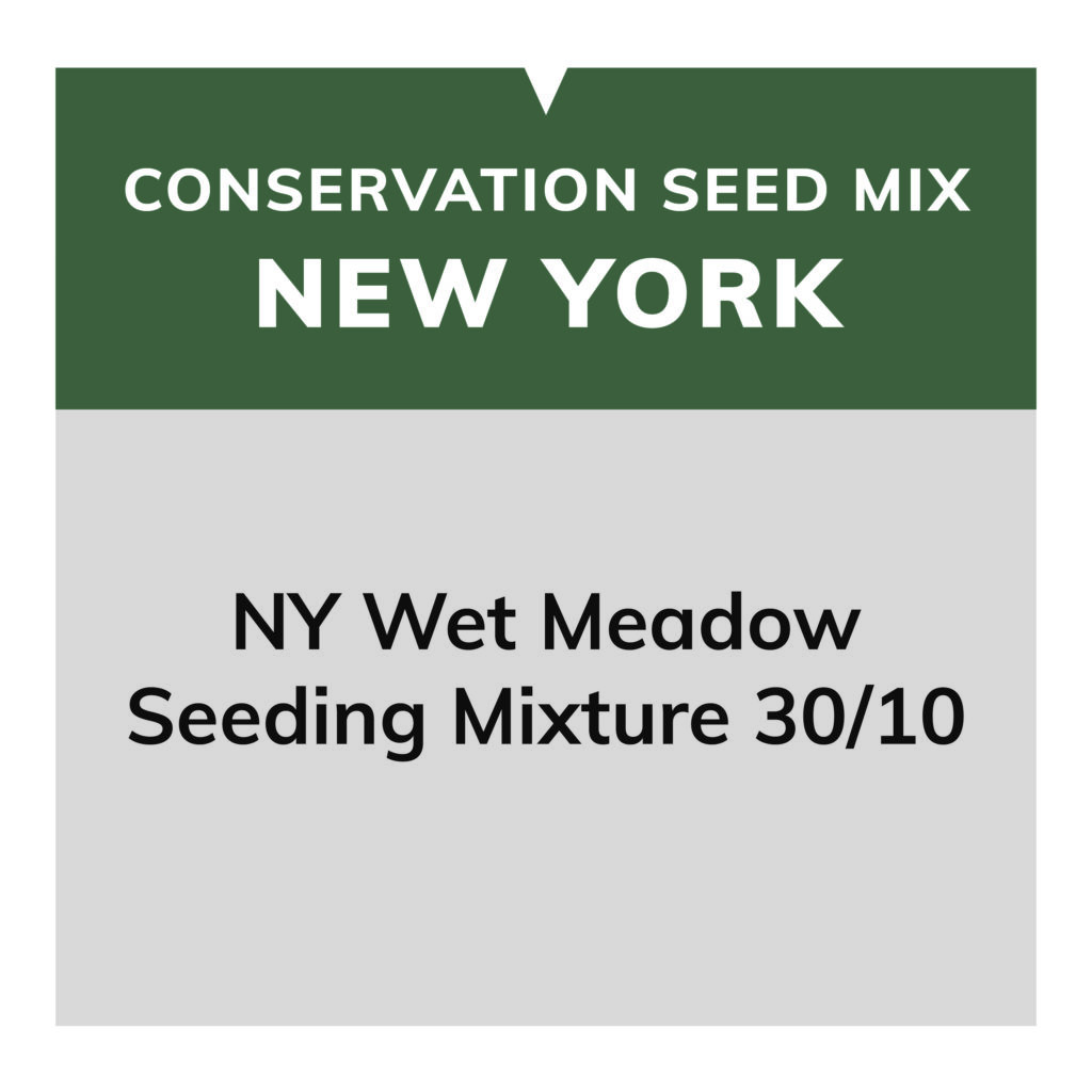 NY Wet Meadow Seeding Mixture 30/10 - Taylor Creek Restoration Nurseries