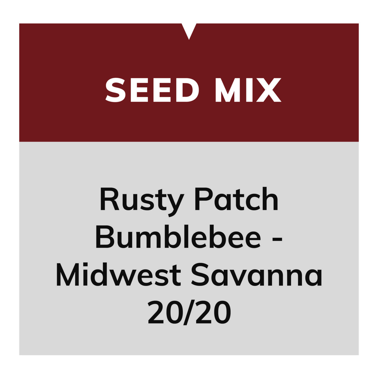Rusty Patch Bumblebee - Midwest Savanna 20/20 - Taylor Creek ...