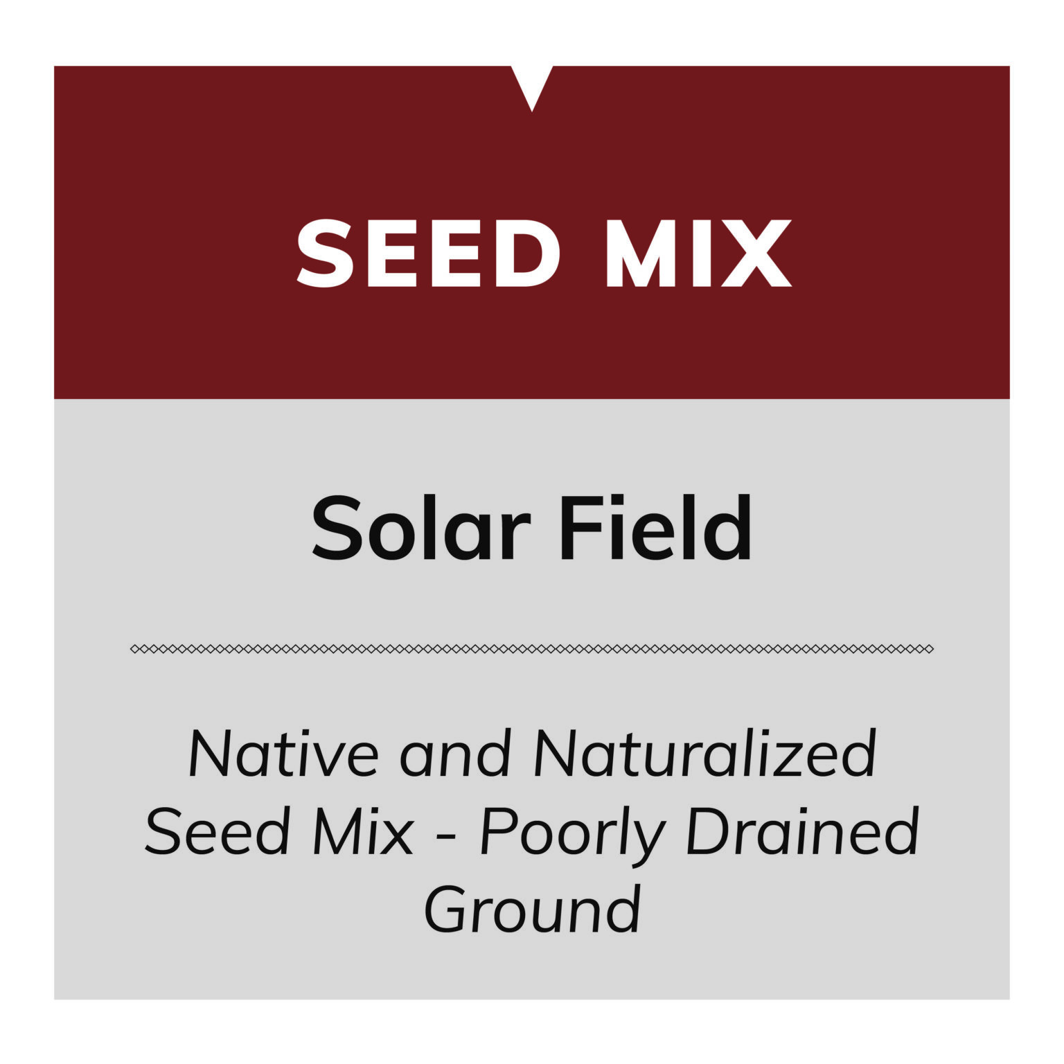 Solar Field (Pollinator Native and Naturalized Seed Mix - Poorly ...
